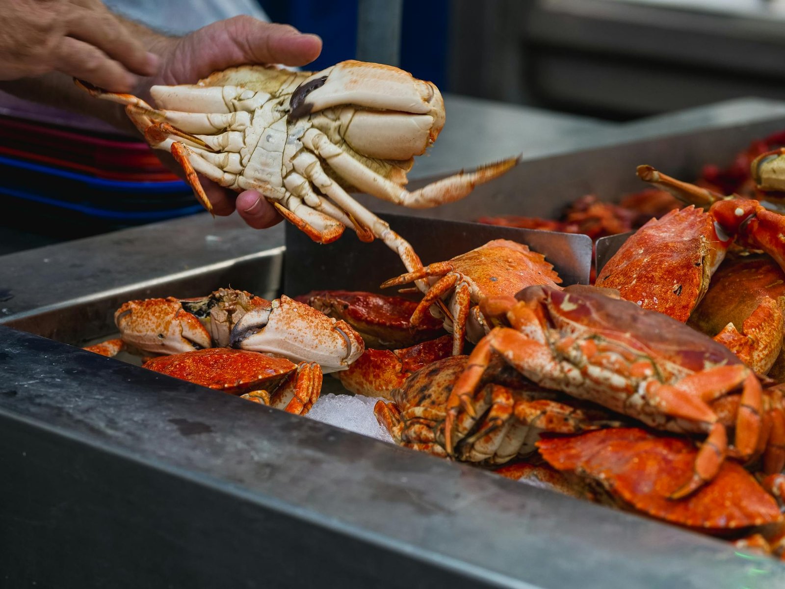 Top 10 Best Crab Types That Are Popular for Seafood - intothebluu.com