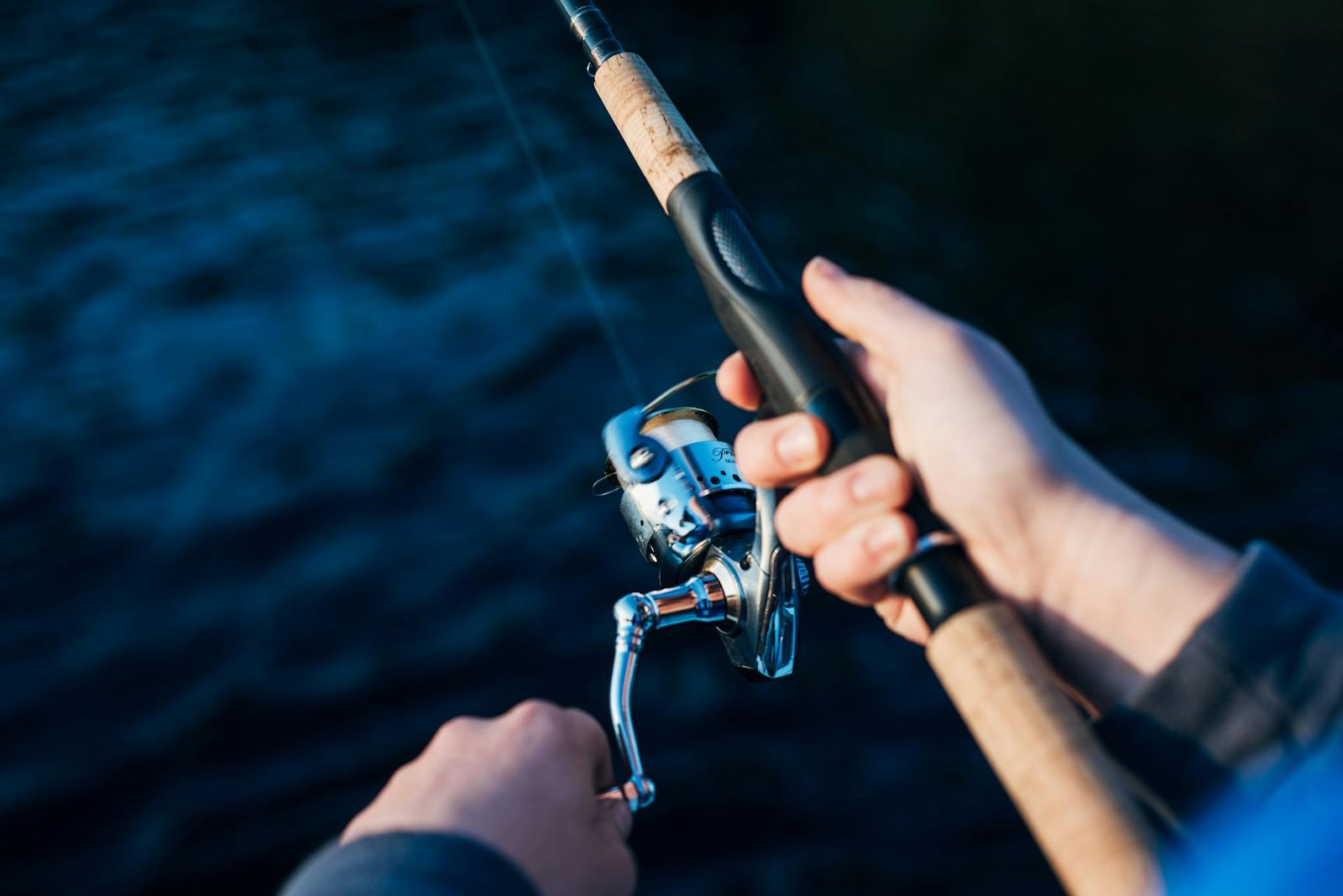 Best Fishing Techniques to become a pro - intothebluu.com